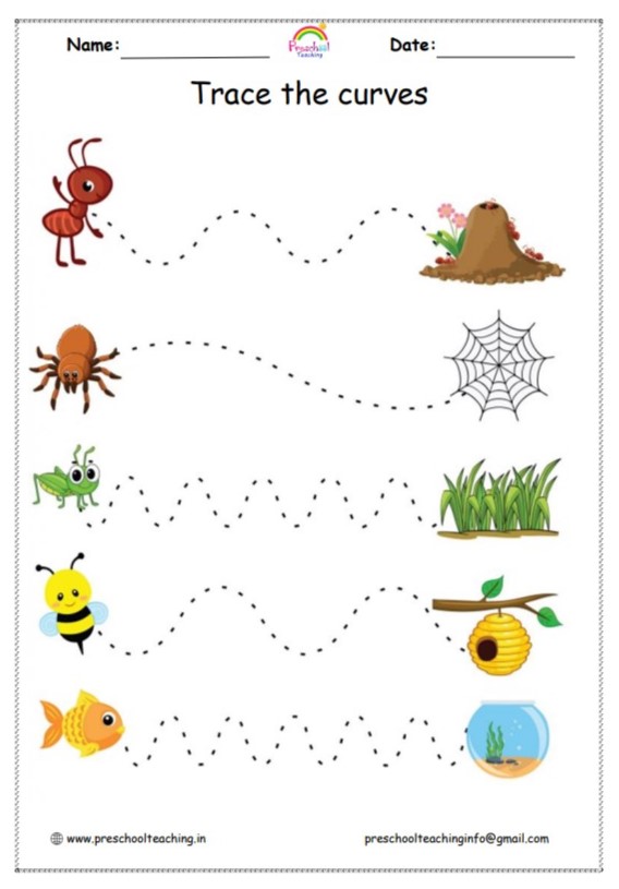 Tracing – Curves – Preschool Teaching
